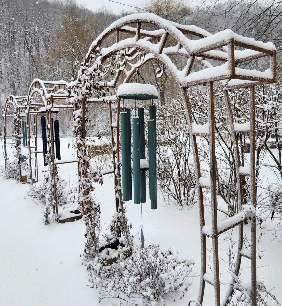 Sure’s looking a lot like Christmas | Winona Journal