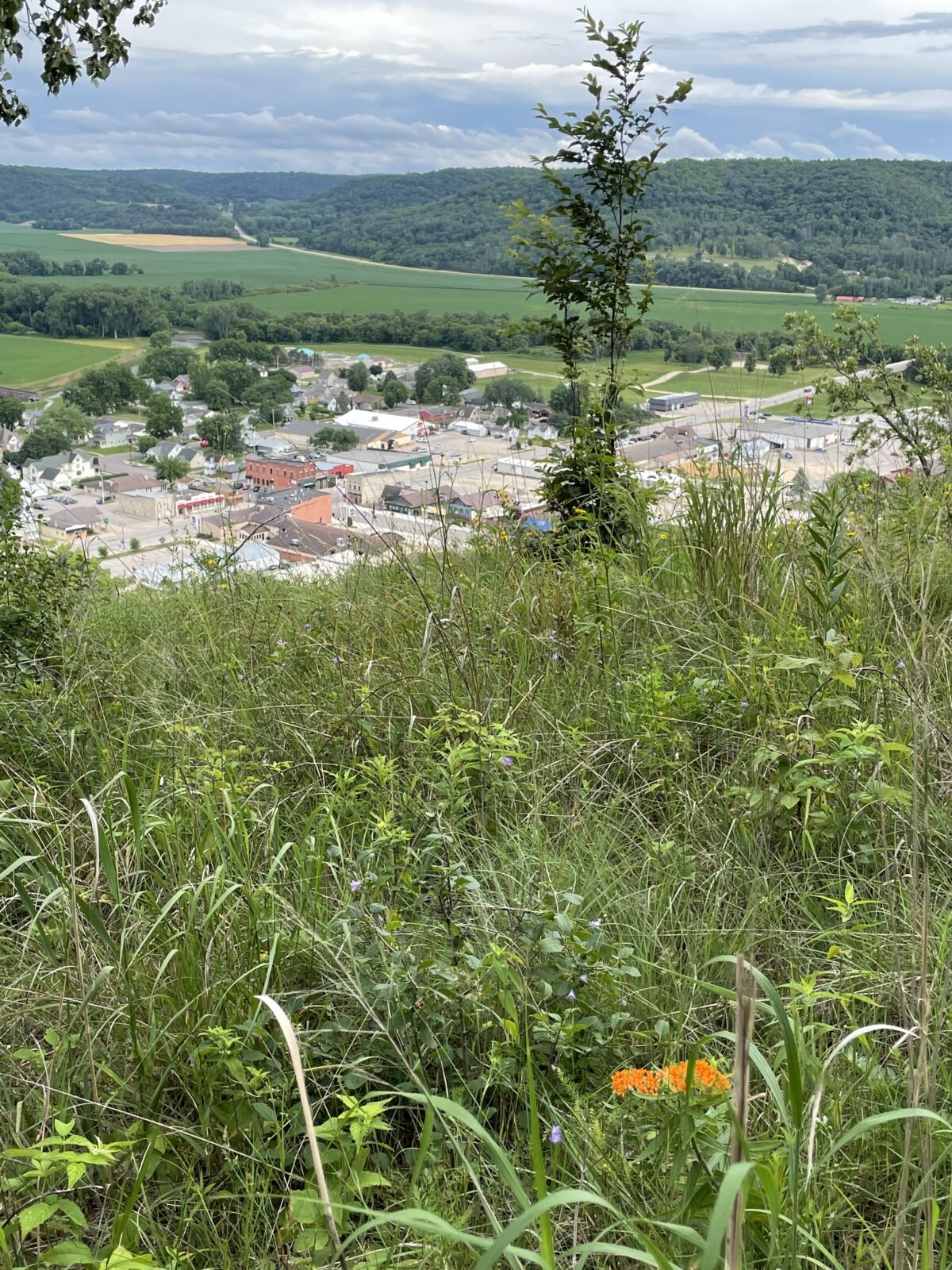 Seeing Rushford from Magelssen bluff | Winona Journal