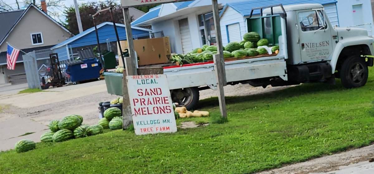 Watermelons from Kellogg already ripe | Winona Journal